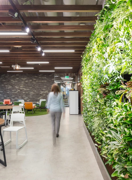 Projects Offices Luxiona